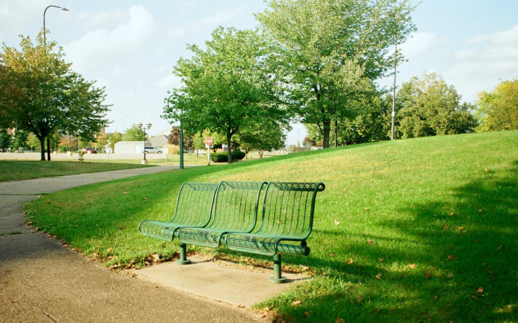 Miejskie trawniki też są potrzebne. Co dają miastu (rzadko koszone ...